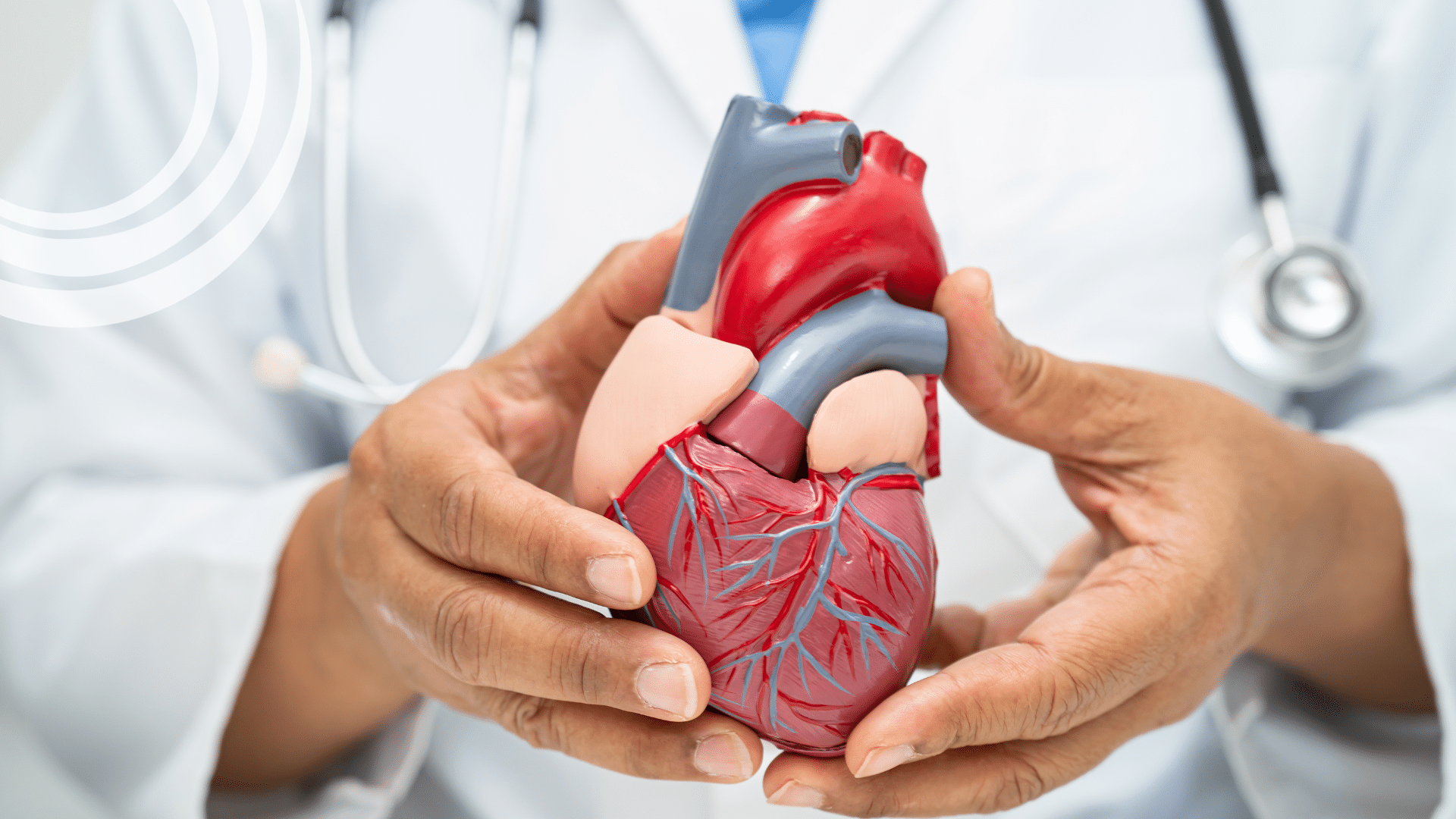 Building Excellence Through Establishing a Premier Cardiovascular ...